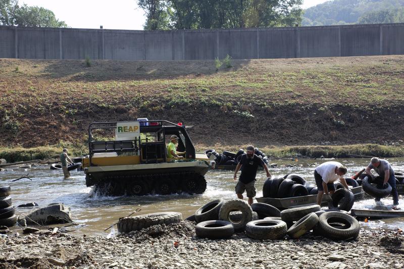 ‘Jungles of junkery’: REAP program criticized for unmet goals, wasted ...